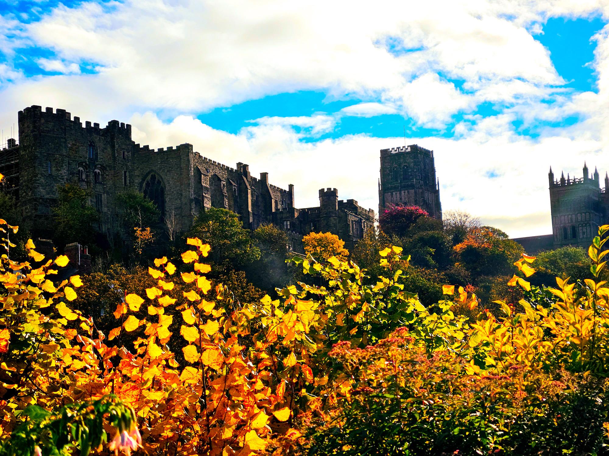 Durham Mental Wellbeing Alliance